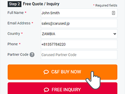 What is Buy Now - Japanese Used Cars Carused.jp